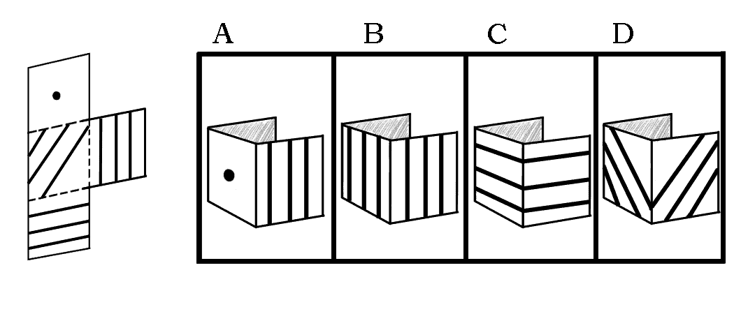 Spatial Relations Practice and Visual Acuity Questions