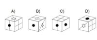 Spatial Relations Practice and Visual Acuity Questions